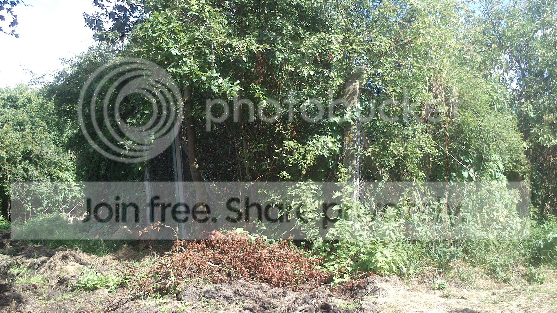 RAF Chigwell Revisited August 2013 - FighterControl