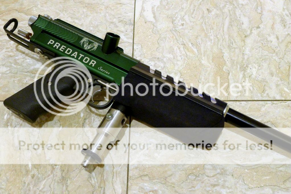 Belsales Official Discussion Thread - Evolution and Predator ...